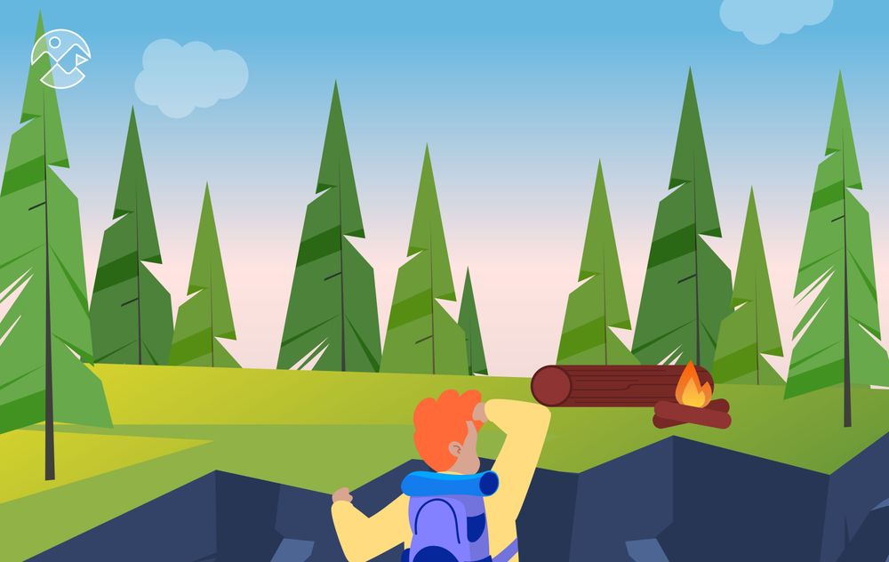 The ultimate Apex developer guide